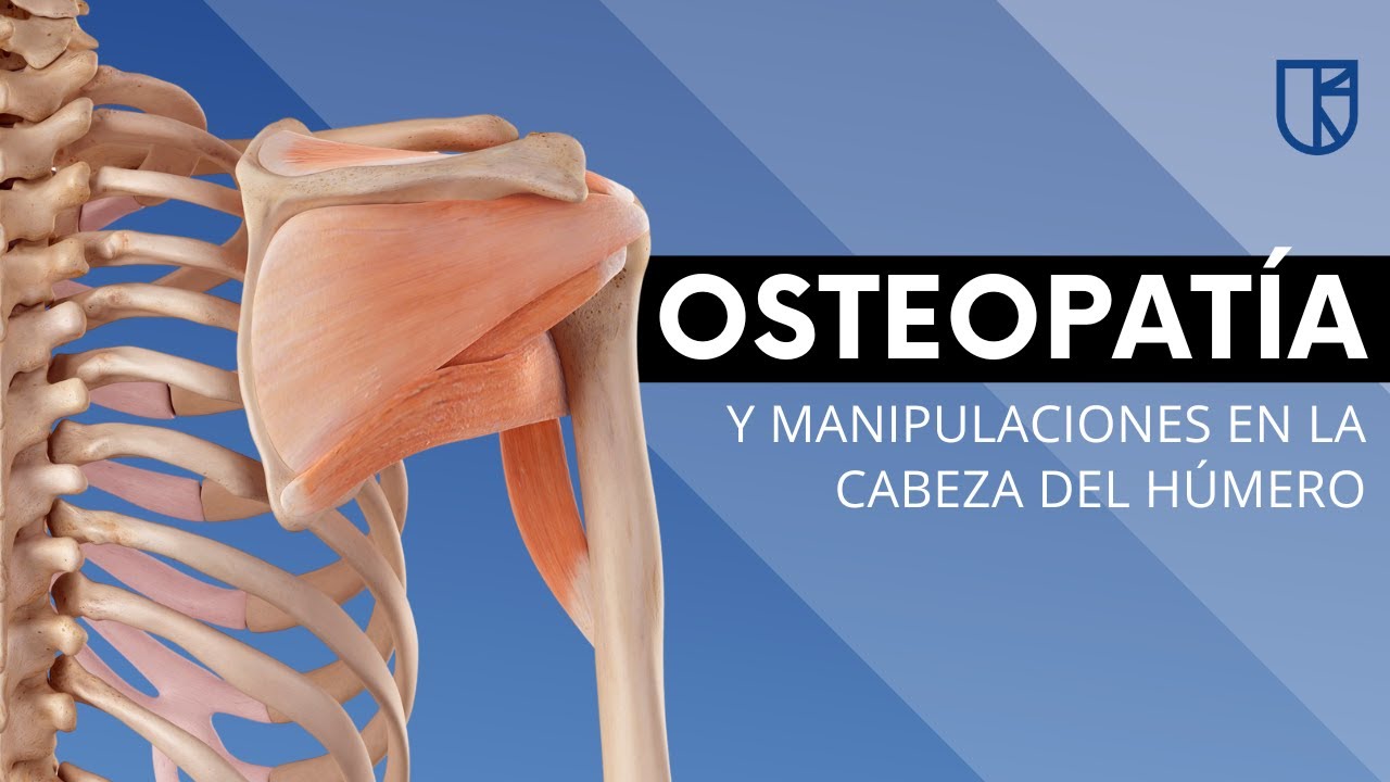 Osteopatía y manipulación de la cabeza del húmero - YouTube