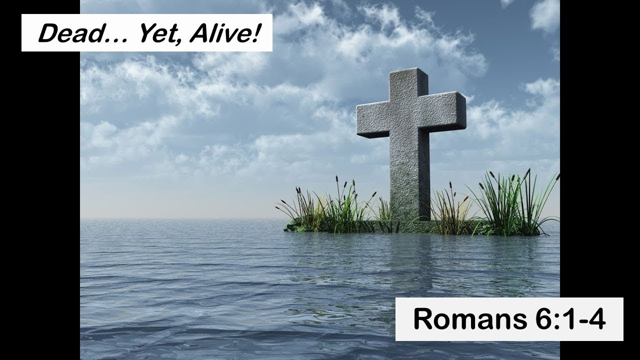 Dead... Yet, Alive! - YouTube