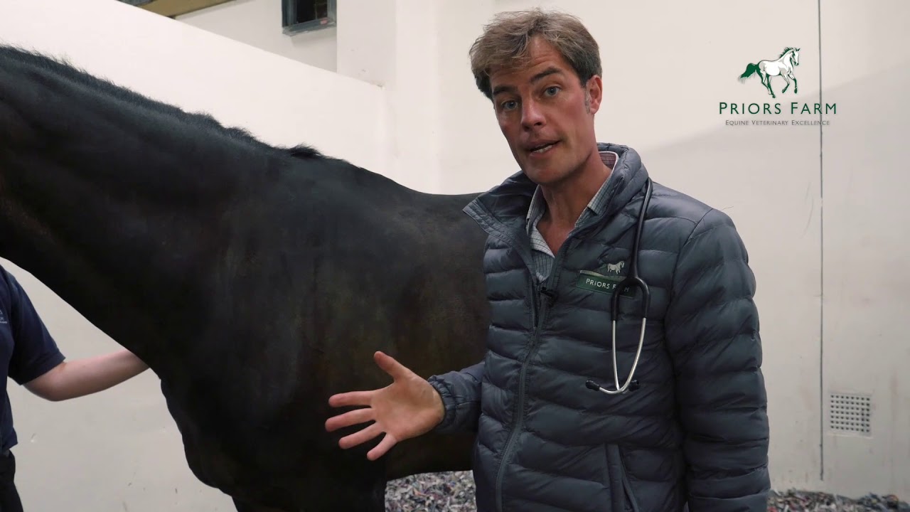 Basic Clinical Exam - YouTube