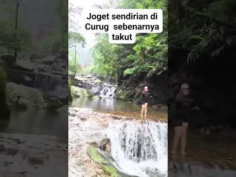 Bunda sebelum basah basahan 💦 #shorts #catlover #mandi #dancing