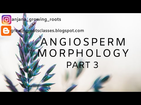 Special Types Inflorescence | Detailed Explanation In Malayalm ...