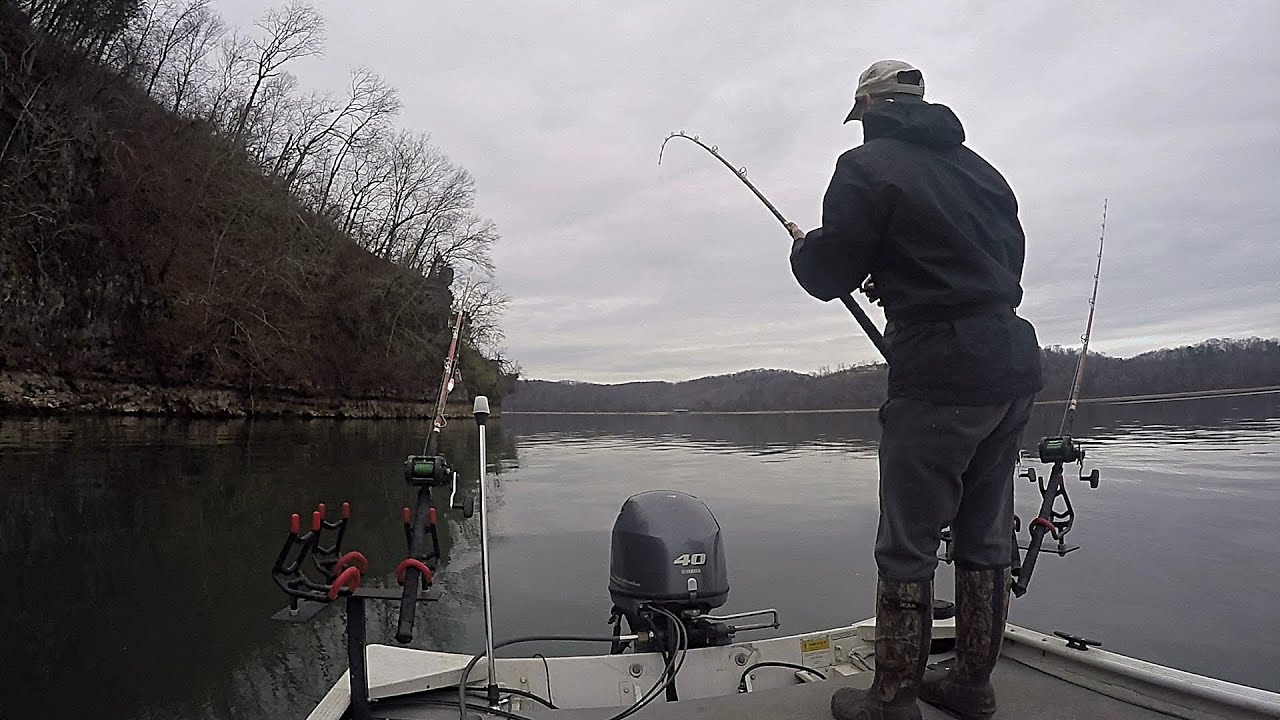 Catching Flathead Catfish From A Bluff: Using Float Rigs To Catch ...