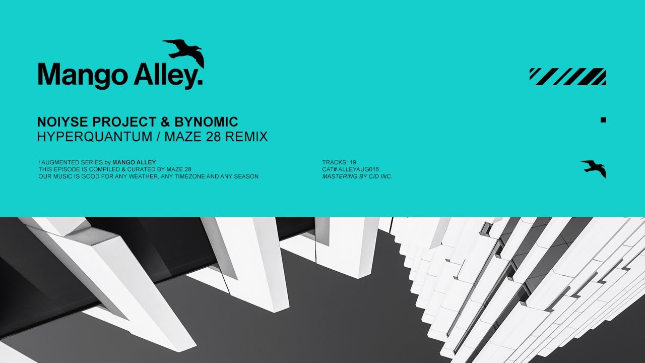 NOIYSE PROJECT & BYNOMIC Hyperquantum (Maze 28 Remix) - YouTube