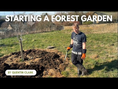 Starting a Forest Garden (part 1) - YouTube