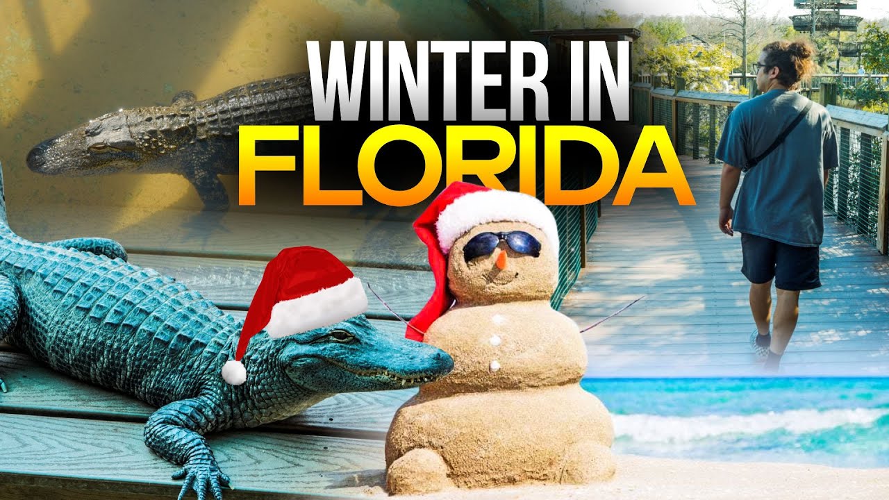Going to Gator Land during Florida winter - YouTube