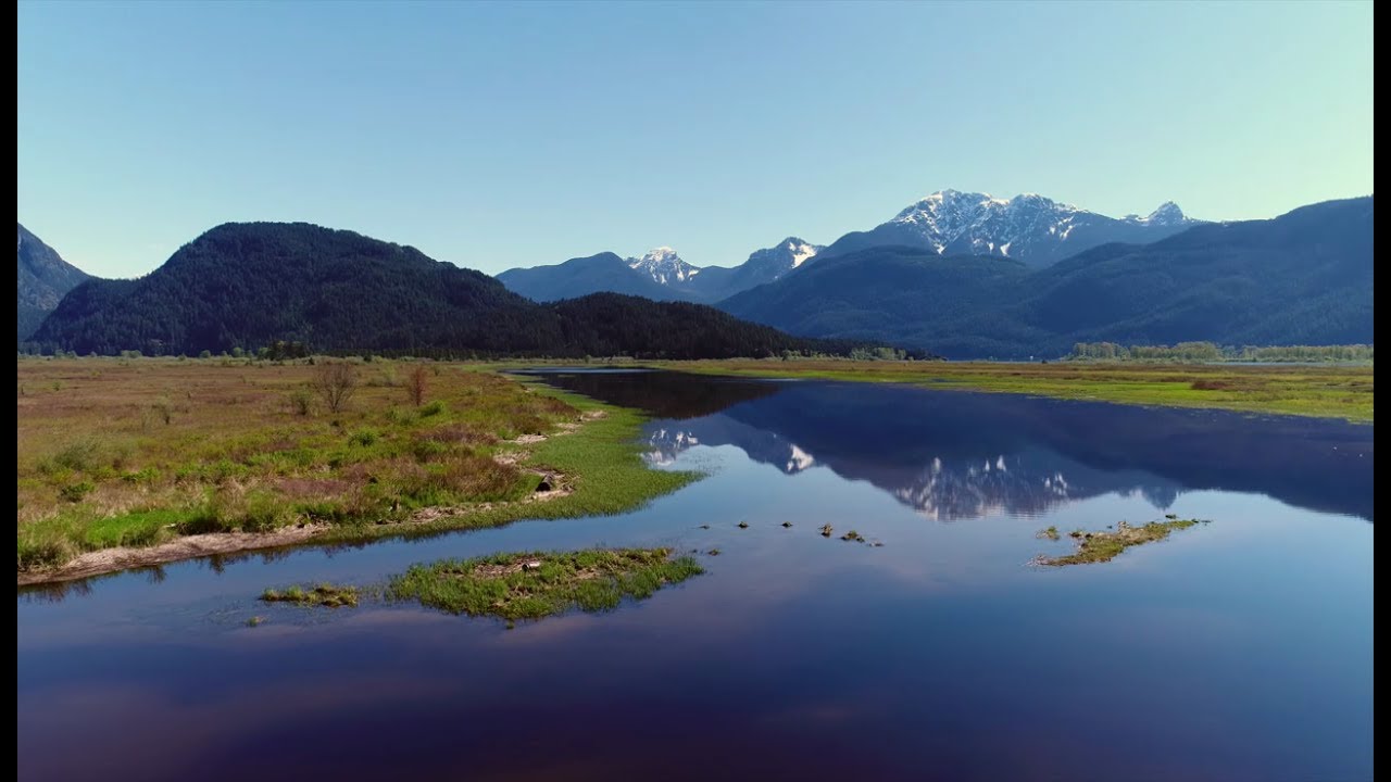 Widgeon Marsh Regional Park Reserve - Park Plan Underway - YouTube