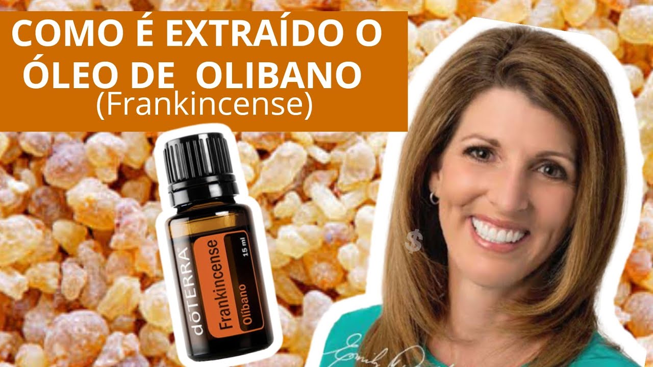 COMO É EXTRAÍDO O ÓLEO ESSENCIAL FRANKINCENSE ( OLIBANO) döTERRA ...