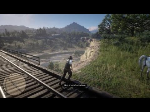 Red Dead Redemption 2 freeing the reverand - YouTube
