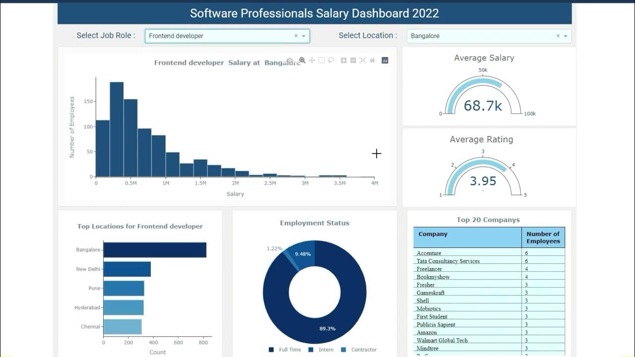 Software Professional Salary Interactive Dashboard - YouTube