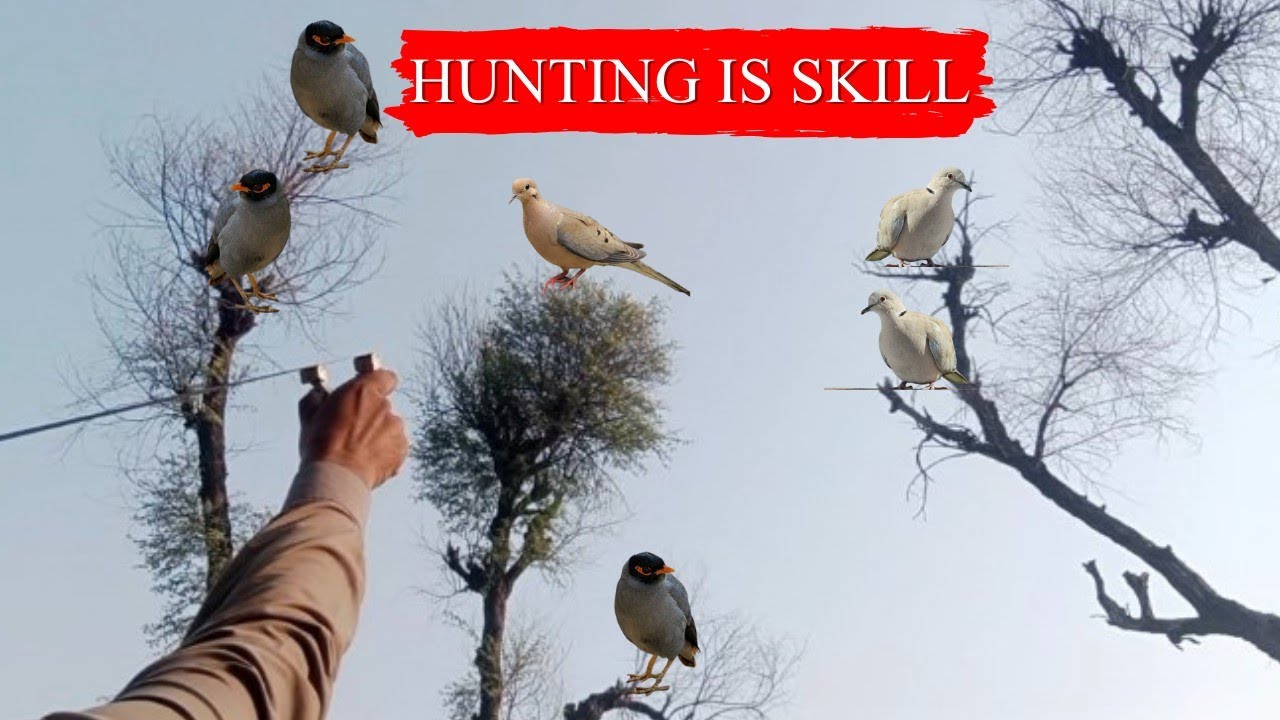 Hunting as a Sport||Skill, Challenge, and Connection to Nature - YouTube