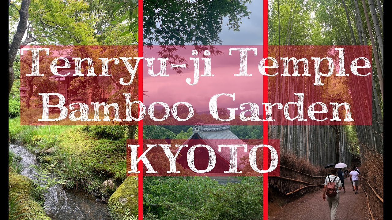 Tenryuji Temple Kyoto Bamboo Forest Tenryu Ji Temple Review & Tips