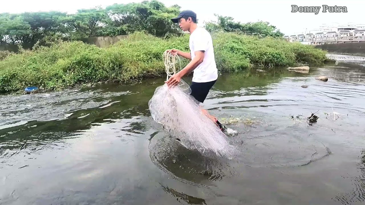 Menjala Ikan Di Sungai Kecil Yang Di Huni Ikan Nila Liar / Traditional ...