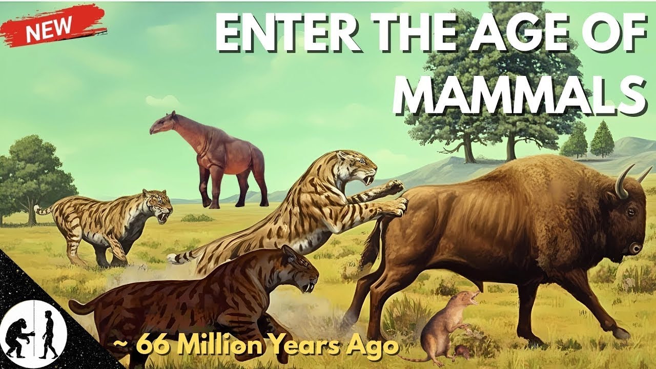 The Entire Cenozoic Era - How Mammals Took Over a Dinosaur's World ...
