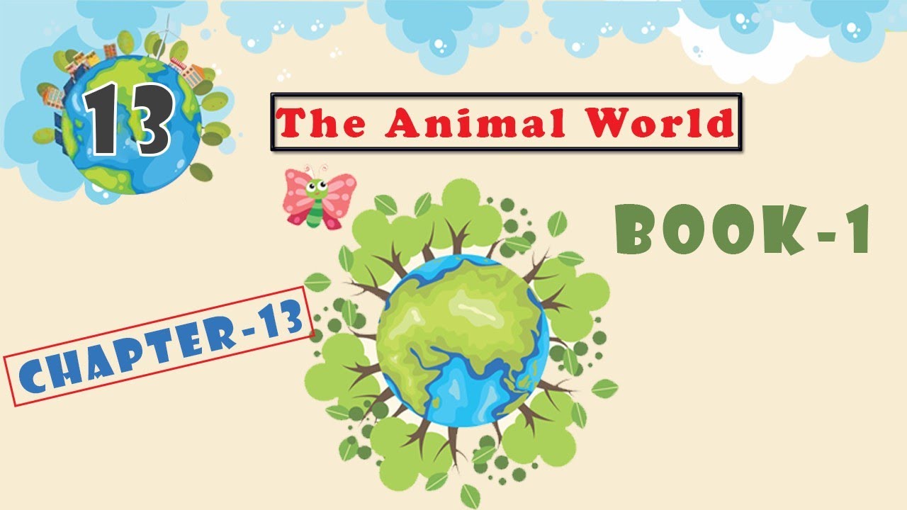 Chapter 13 The Animal World II @Standardbooksindia - YouTube