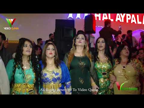 Ahangi Newroz-Köln-2018-Shirwan Abdulla-HD-ئاهه‌نگی نه‌ورۆز کۆڵن شیروان عبدللهConsert(Music.Diyakoz)