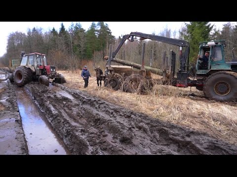 Forwarder Kockums saving Belarus Mtz 892 forestry tractor, wet conditions, difficult road