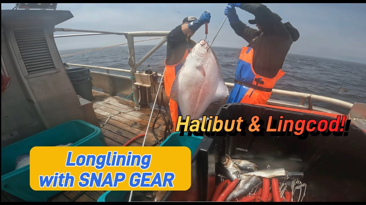Halibut & Lingcod Fishing with SNAP GEAR - YouTube