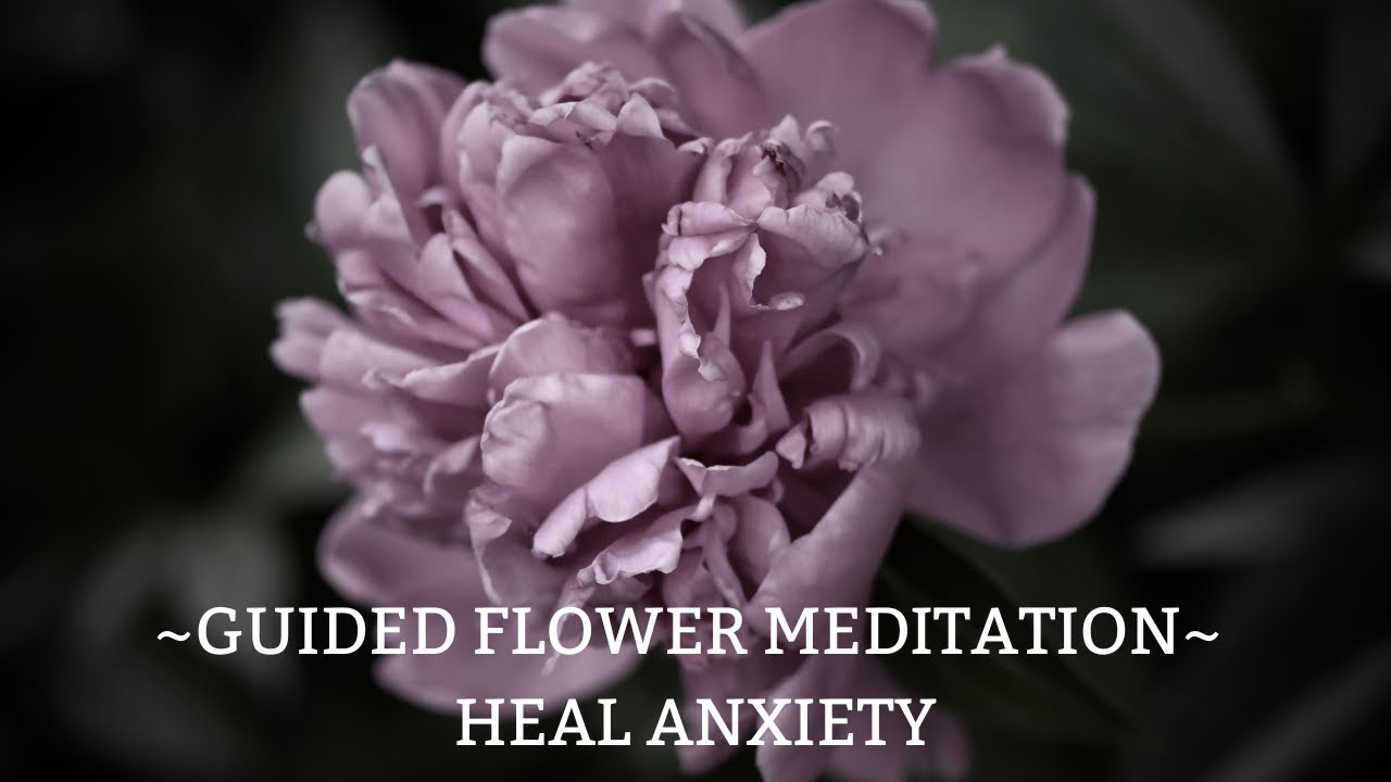 GUIDED FLOWER MEDITATION TO HELP ANXIETY 🌸 - YouTube