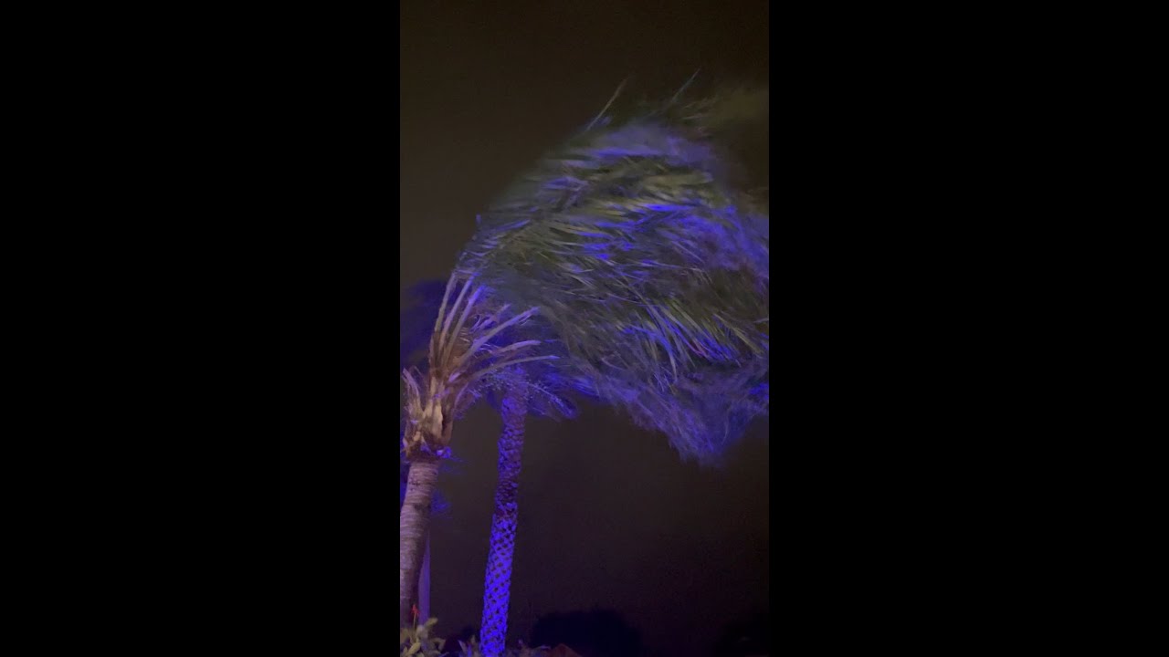 The Wind Before the Real Wind Arrives - Hurricane Milton - Melbourne FL ...