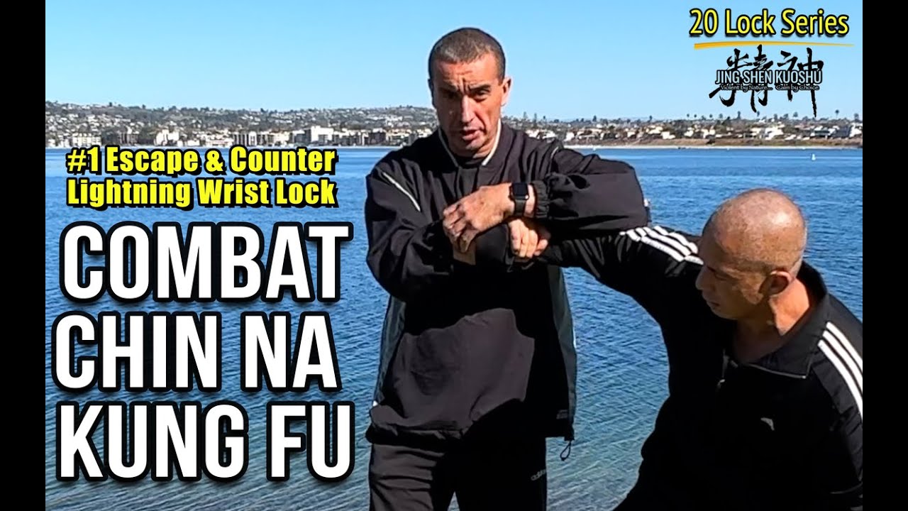 Combat Chin Na: A 20 Lock Series, with counters and escapes to each of ...
