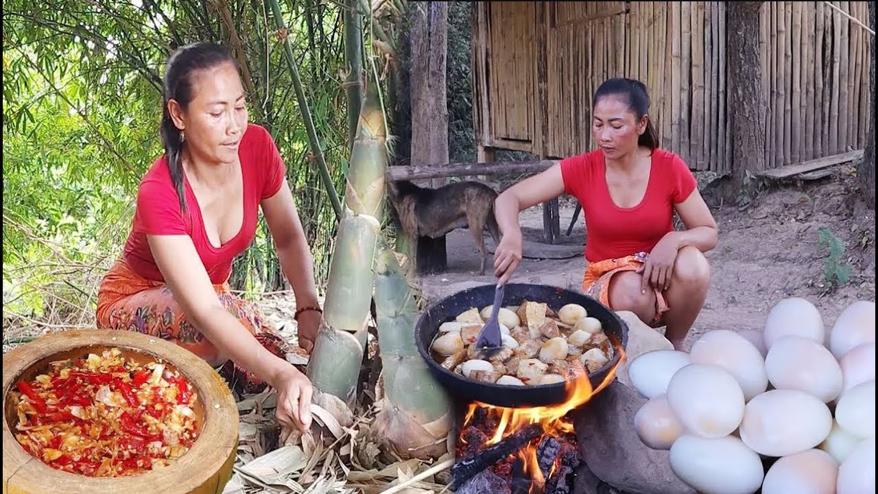 Top 5 Adventure and Cooking in the forest, How to find food, Cooking ...