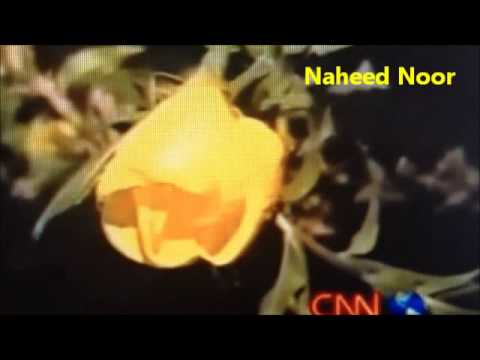 Miracle of Allah azan flower cnn report - YouTube
