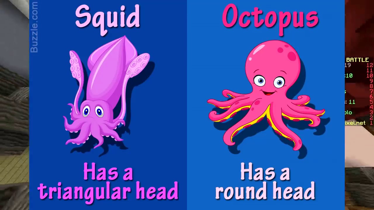 LEGENDARY OCTOPUS Minecraft Game Build Battle @@ - YouTube