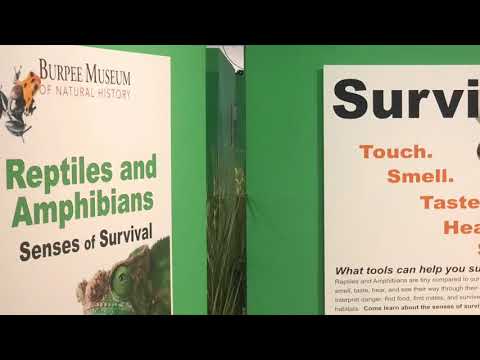 Fun with Karina at reptiles and amphibians exhibit!