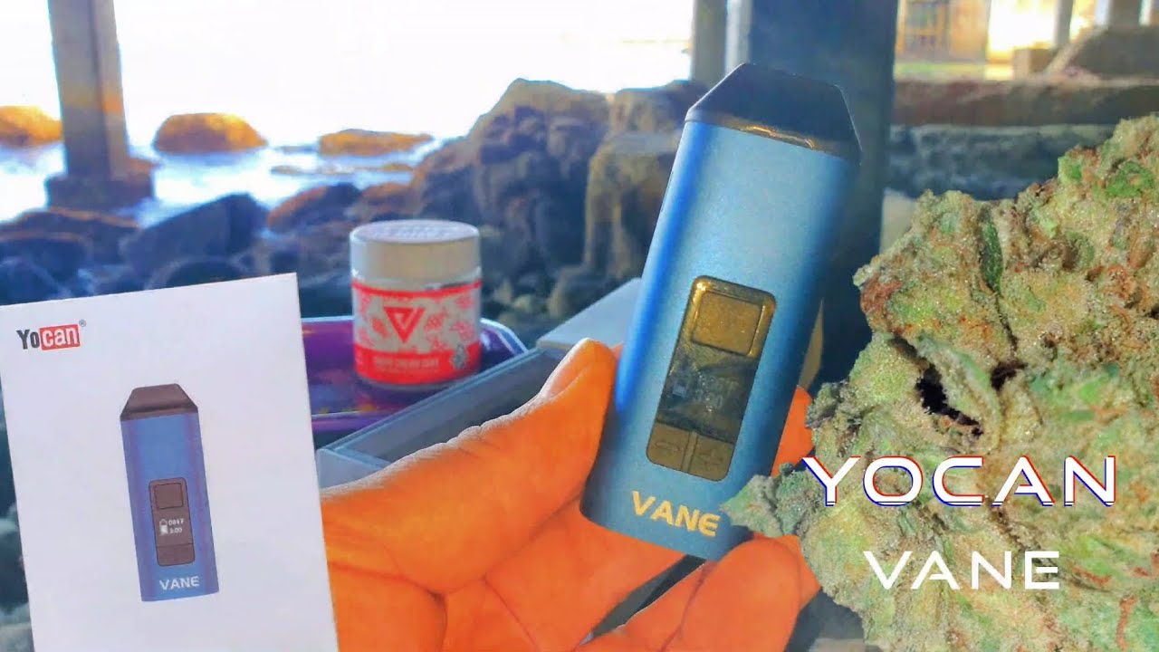 YOCAN VANE FLOWER VAPE! - YouTube