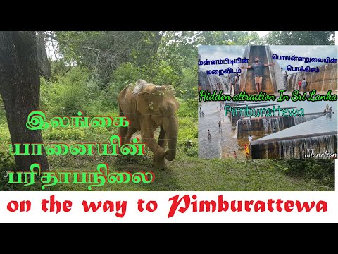 Pimburattewa Tank - Hidden place in SriLanka - YouTube