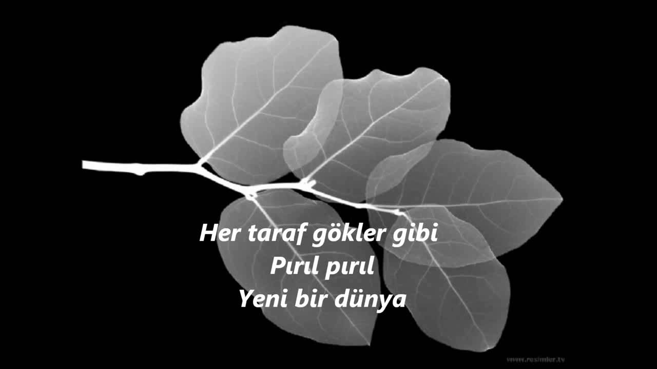 Best Turkish song Yeni bir dünya LYRICS (Turkish songs) - YouTube