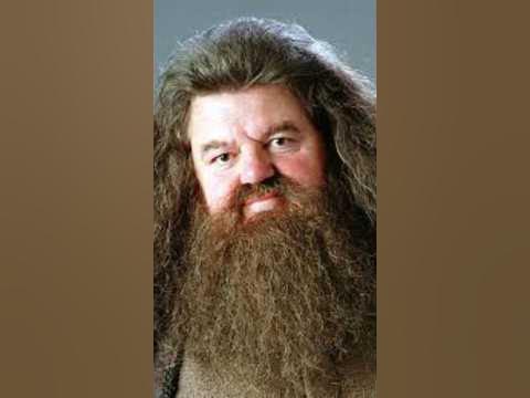 Я Хагрит? Шк0льный булинг #кудрявыйметод #youtube #makeup #like #хагрид ...