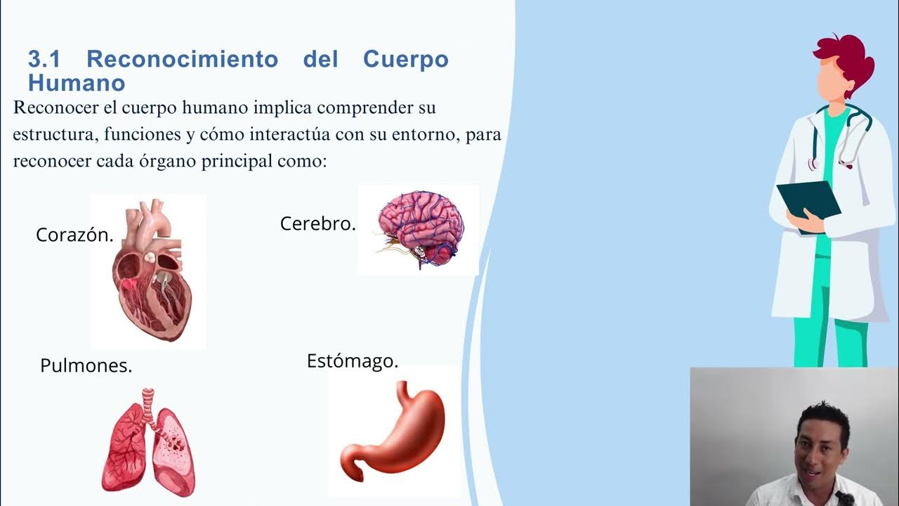 TEMA 3 La salud y el Cuerpo Humano - YouTube