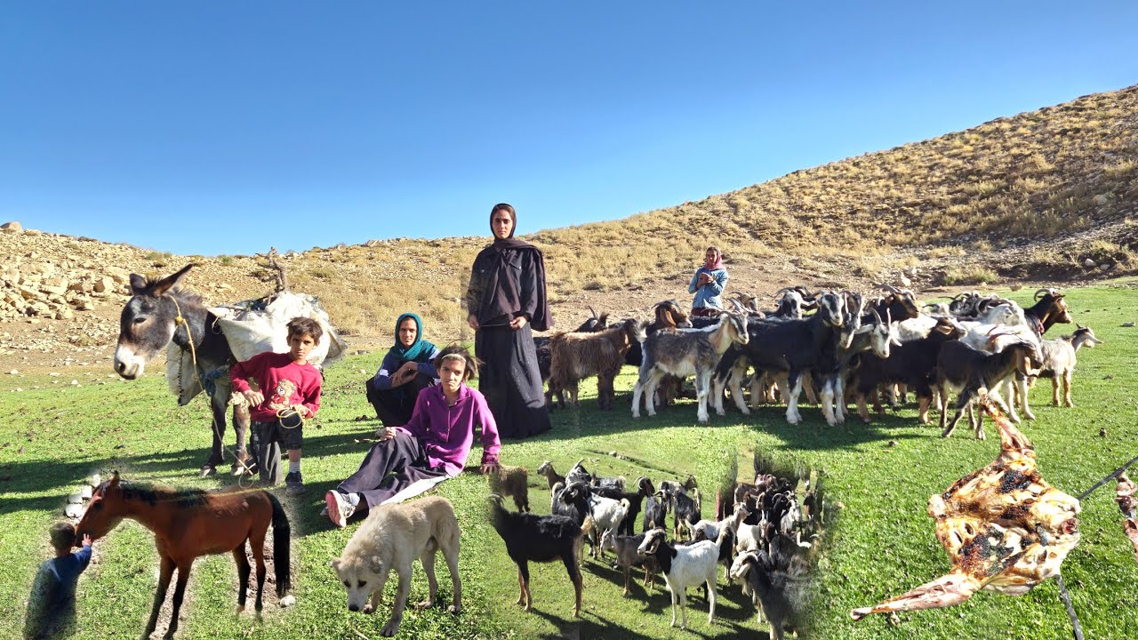 Nomadic adventure in mountains of Iran |Goat grazing, cooking in nature ...