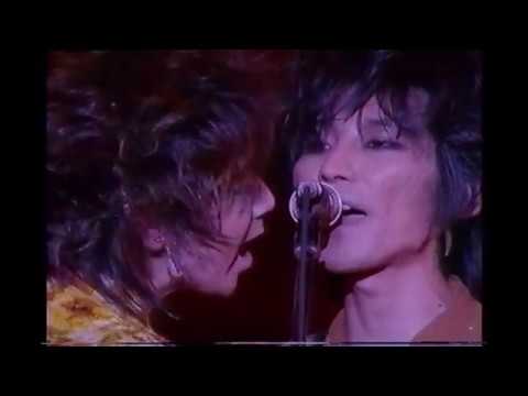 THE LONGEST NIGHT - YouTube