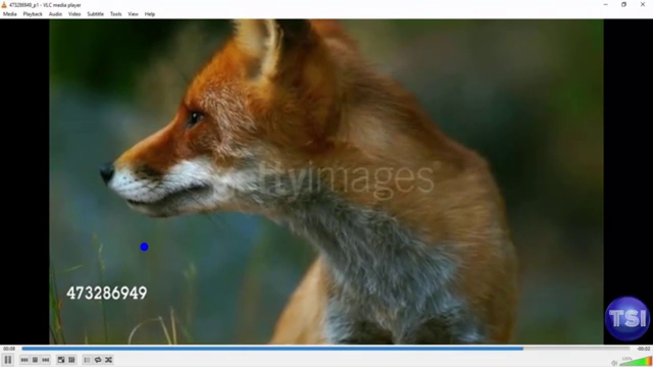 VLC tutorial 2016 | Cómo descargar y usar VLC Media Player. Facil ...
