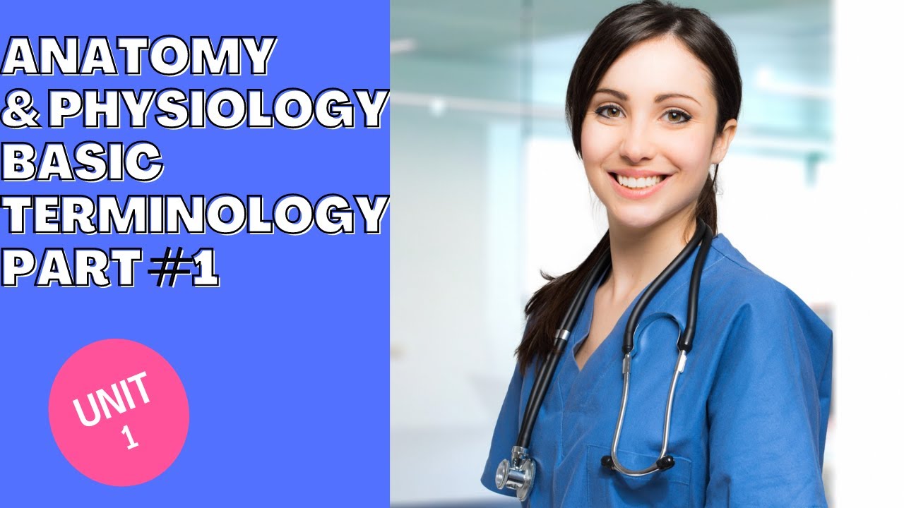 INTRODUCTION TO HUMAN BODY | BASIC TERMINOLOGIES | BSC NURSING ANATOMY ...