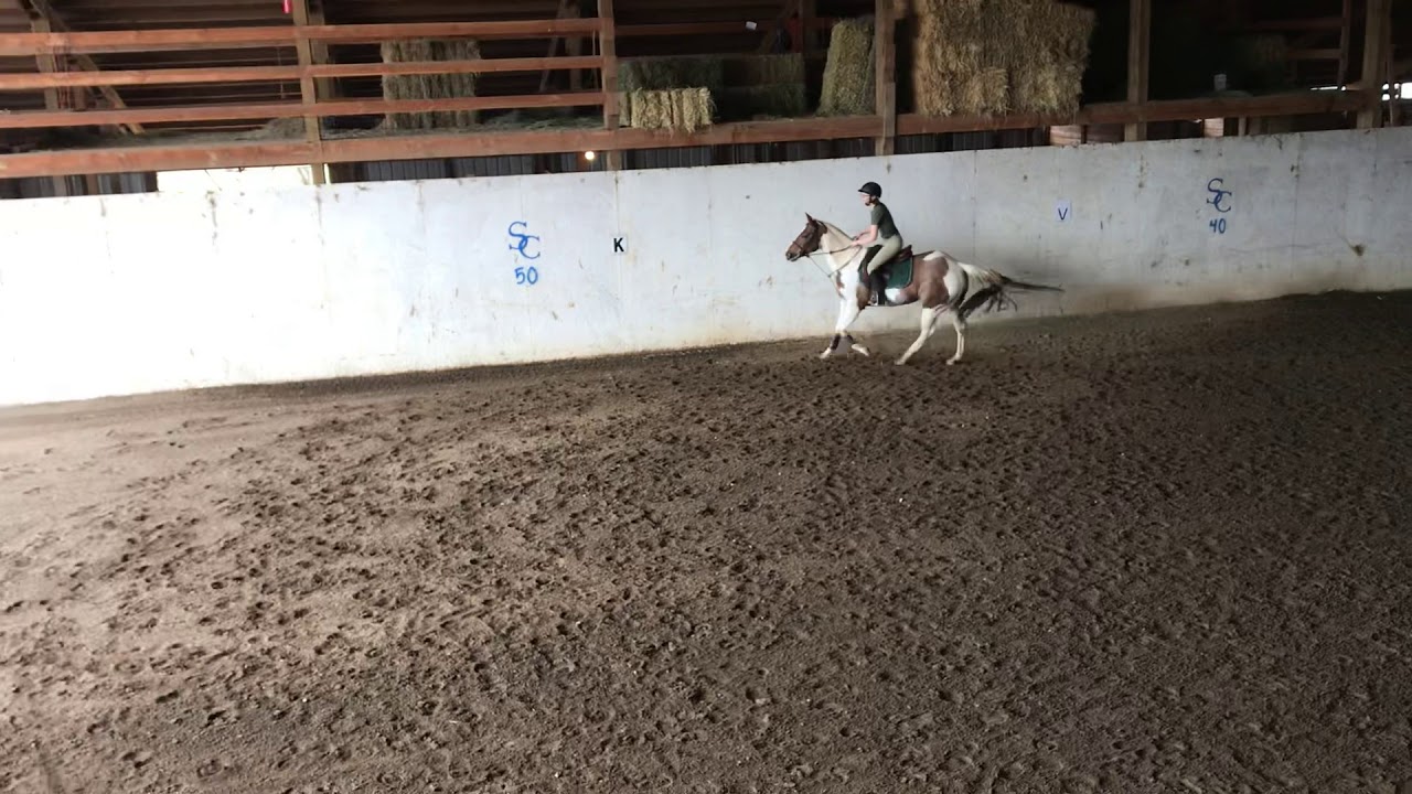 Cheery acres online horse show Class 33 Hunter over fences Katherine ...