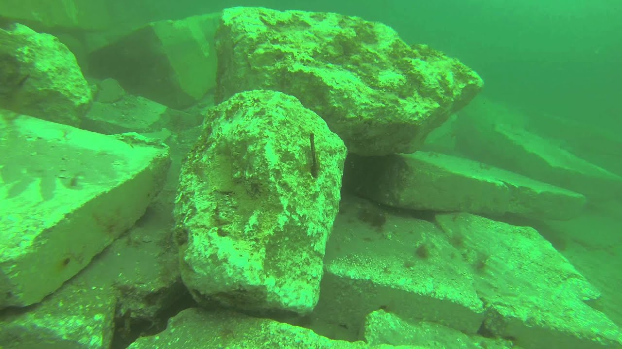 CCA Goggle Eye Reef - YouTube