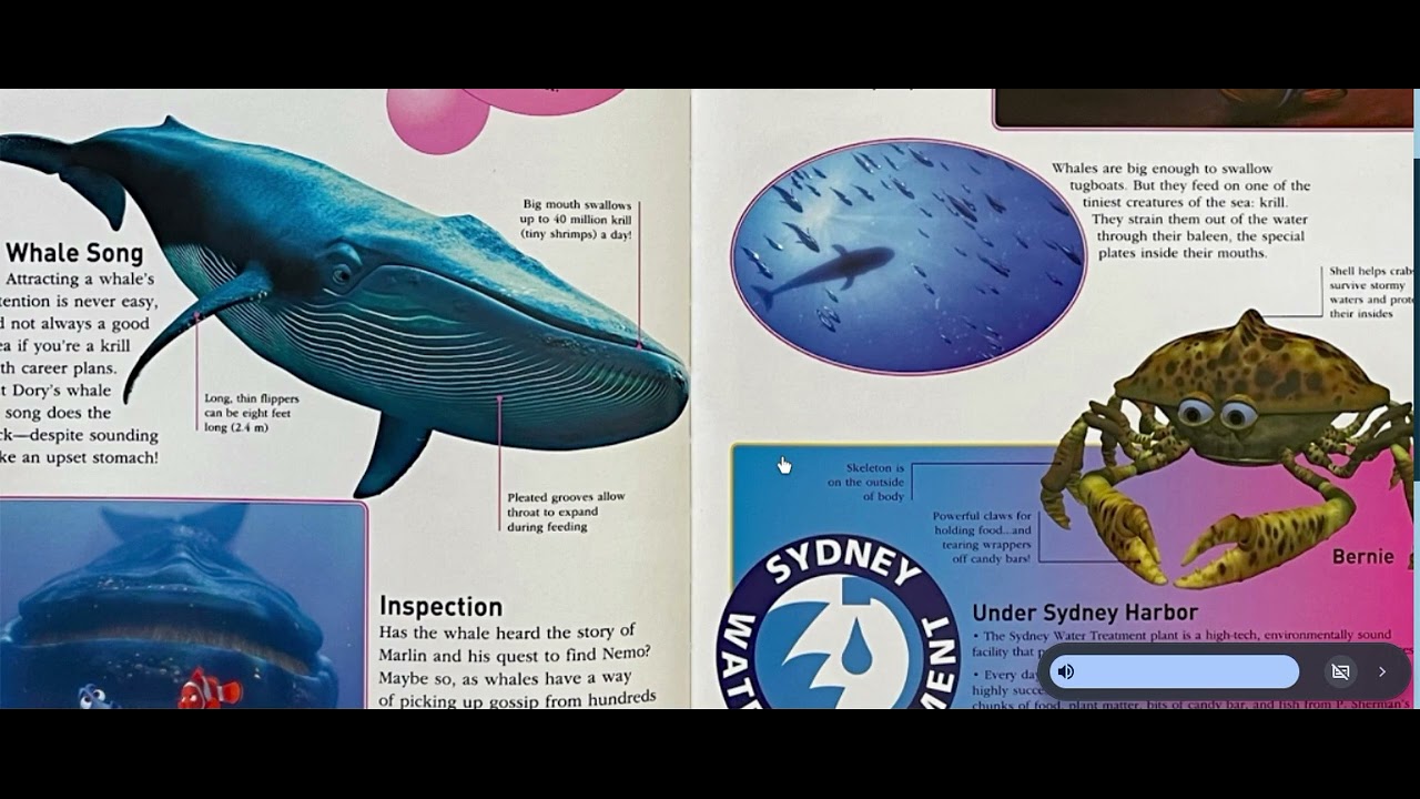 finding Nemo The essential guide books Vincent - YouTube