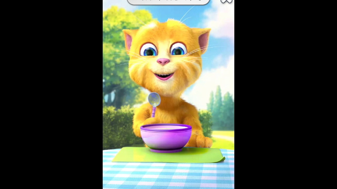 Talking ginger 2 spin a wheel feed with me - YouTube