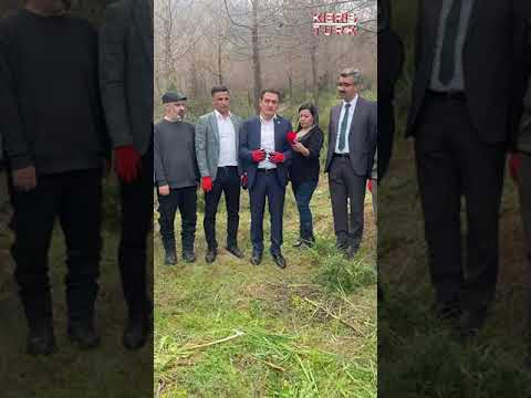 Çam Kese Böceği ile mücadele: Terminatör Böcekler Lapta ve Çatalköy-Karaağaç bölgelerine bırakıldı.