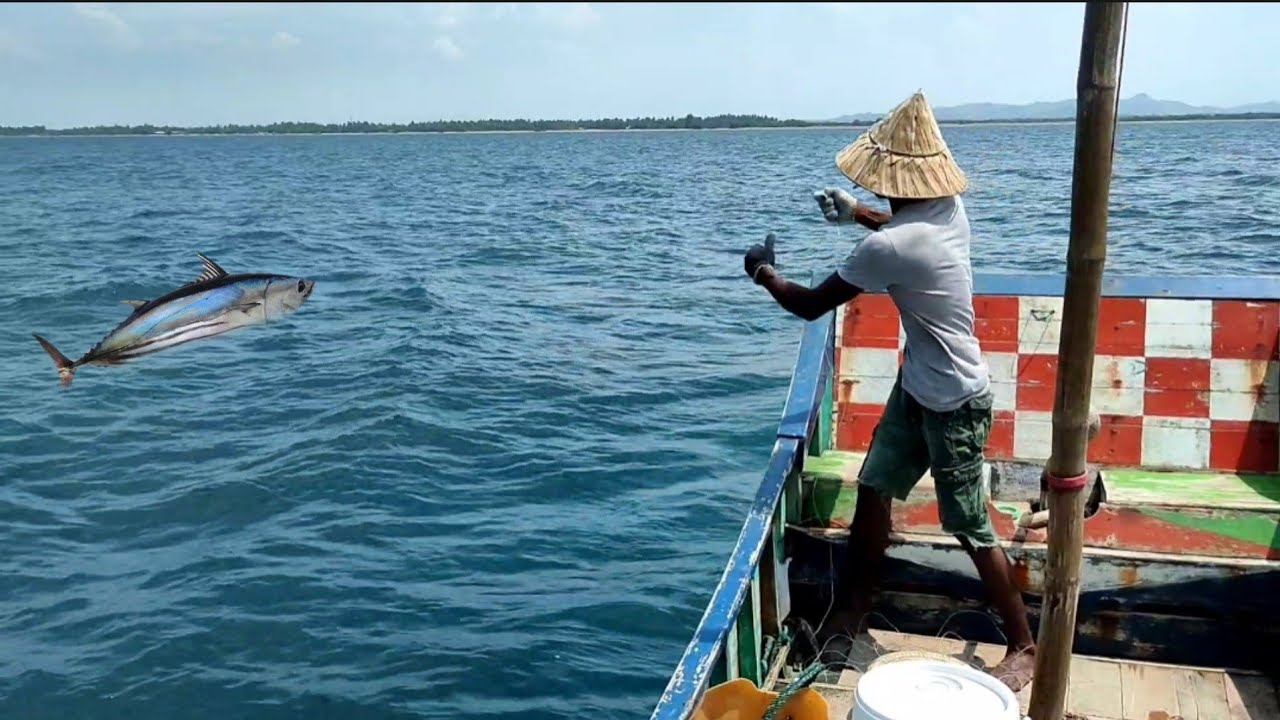 Skipjack Fishing Boat | Fishing For Skipjack Tuna In The Deep Sea - YouTube