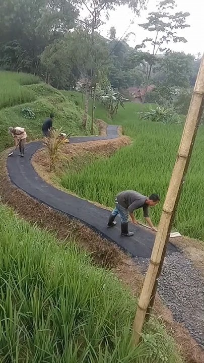 Membangun jalan di persawahan - YouTube