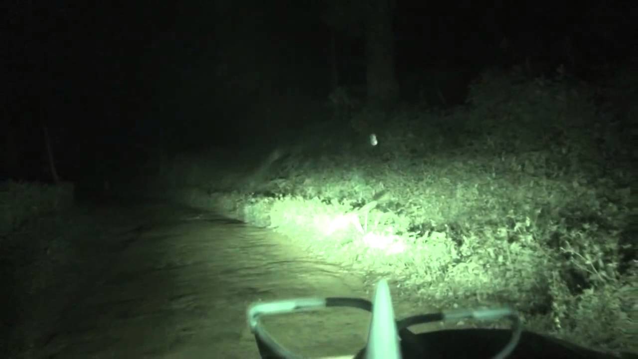 Real Ghost Videos in India - Ghost Sighting On The Way - YouTube