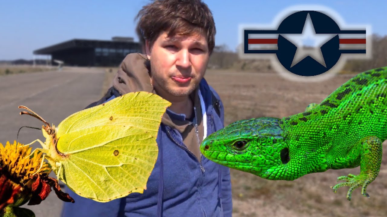 Abandoned Airfield & Nature: Park Vliegbasis Soesterberg with Bart ...