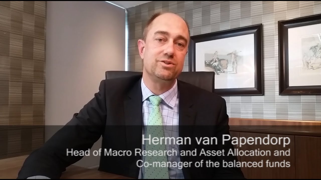 Herman van Papendorp: Head of Macro Research and Asset Allocation ...