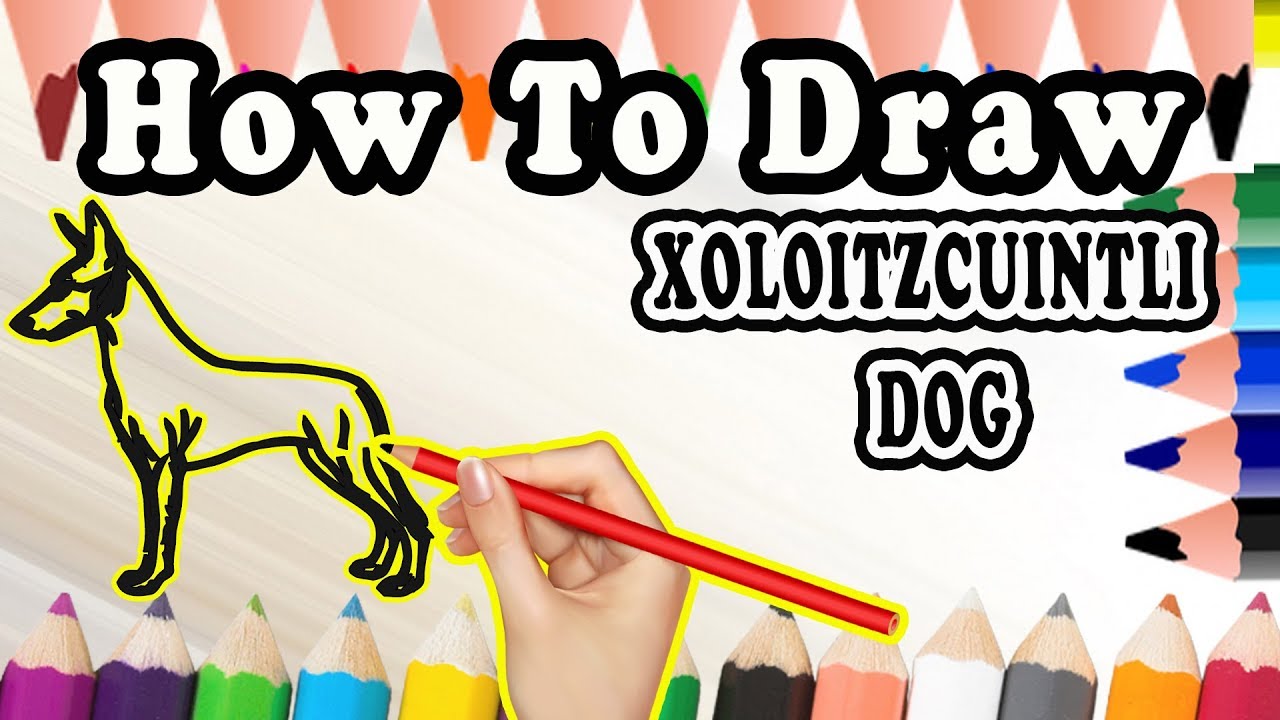 How To Draw A Xoloitzcuintli DOG | Draw Easy For Kids - YouTube