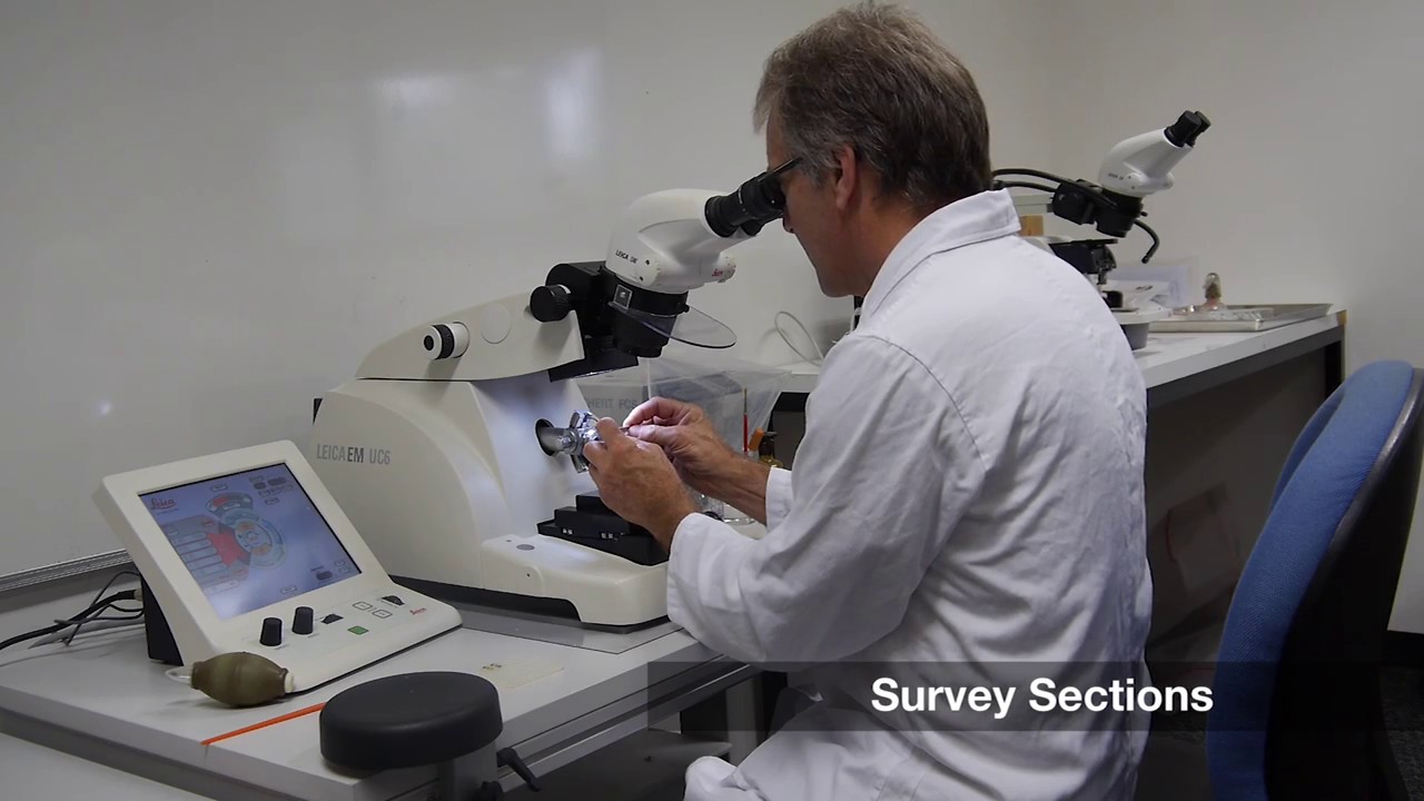 Tissue Preparation for Electron Microscopy - YouTube