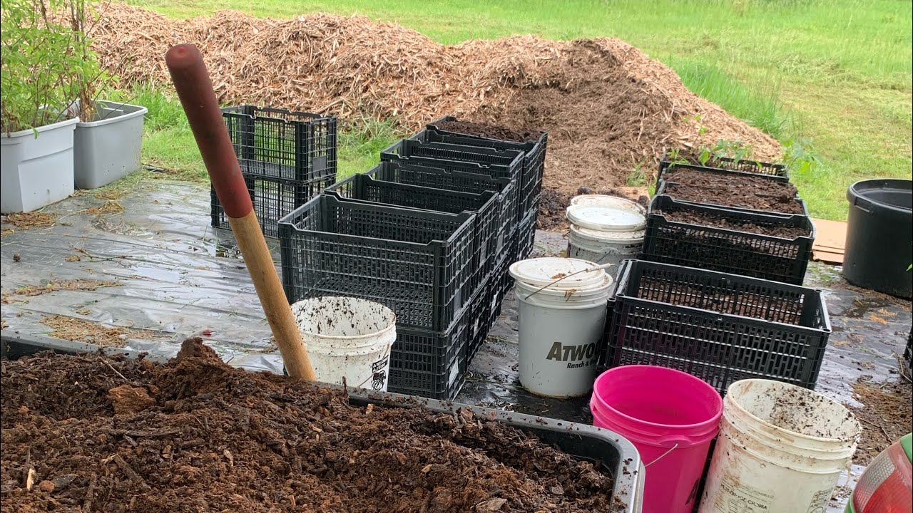 Air prune box hack for tree nuts and seeds 🌱 @edibleacres Thanks to ...